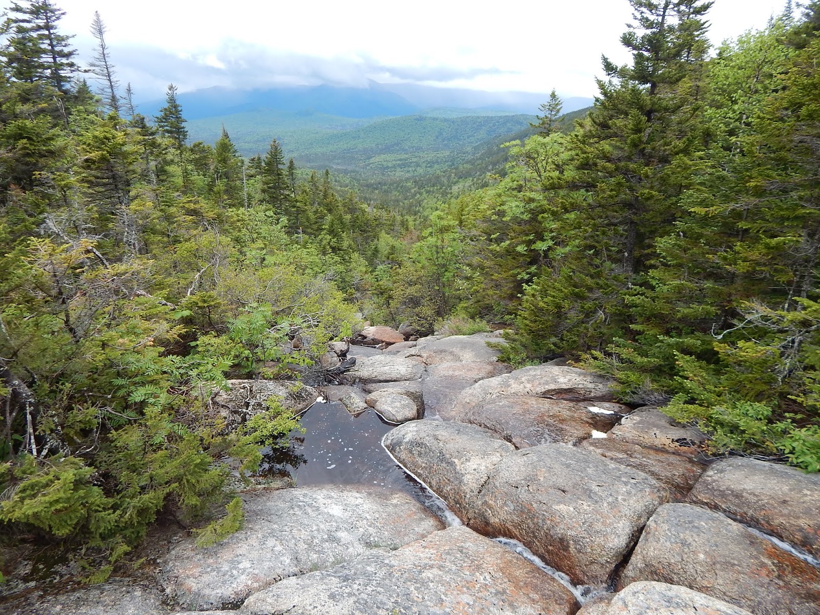 EvanHikes: Mt.Nancy, and the Nancy Pond Trail