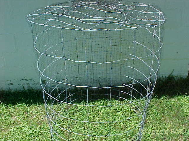 Back Yard Organic Vegetables: How I Protect My Blueberries From Birds.