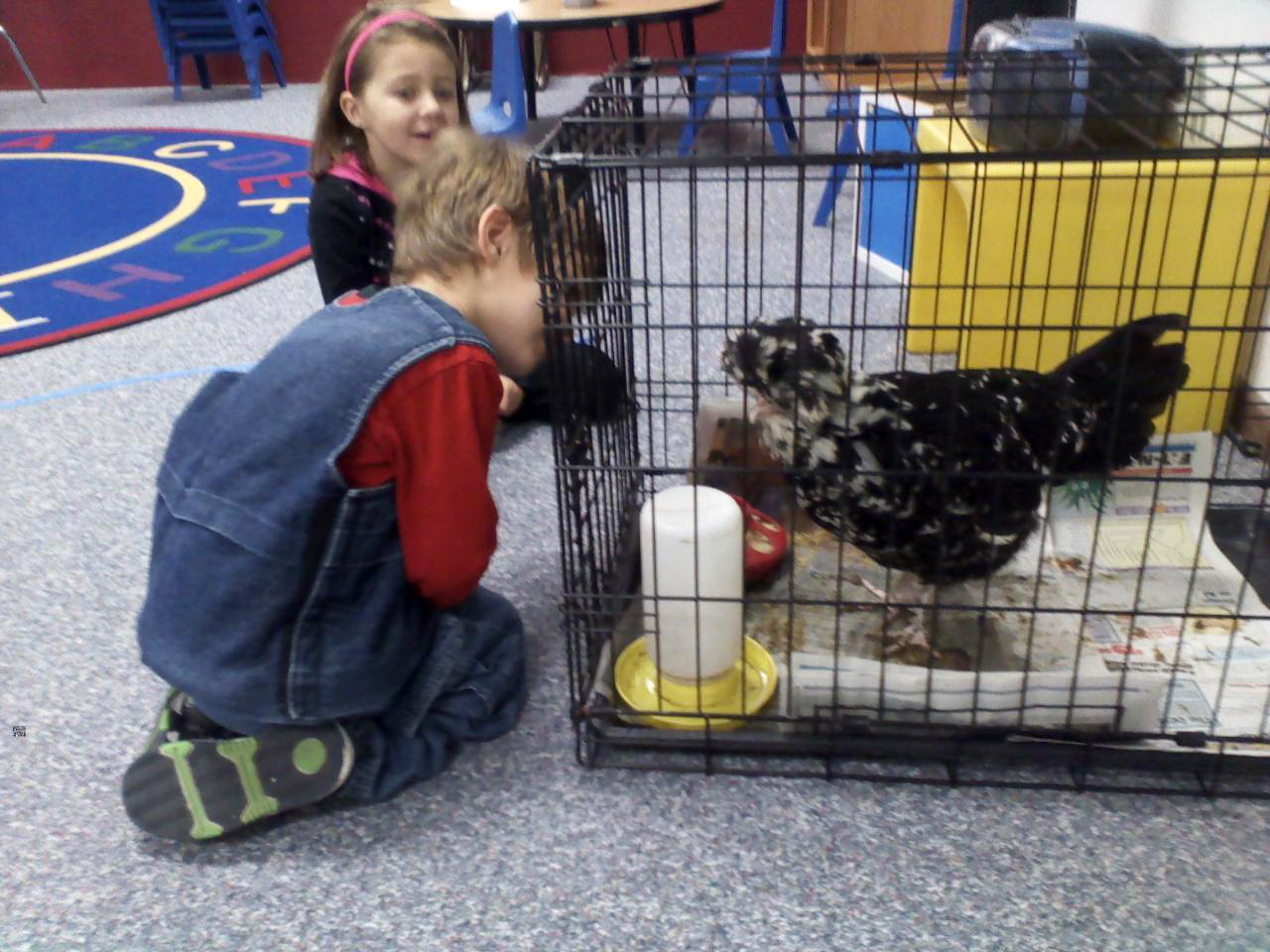 Autism Art Project: Autism Devotion: Speaking to Animals