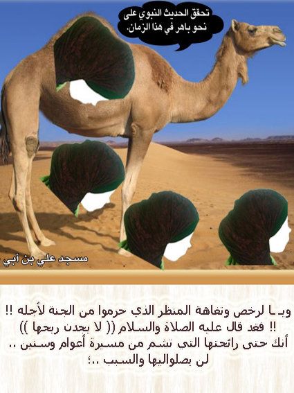 puarman .....: Hijab Punuk Unta