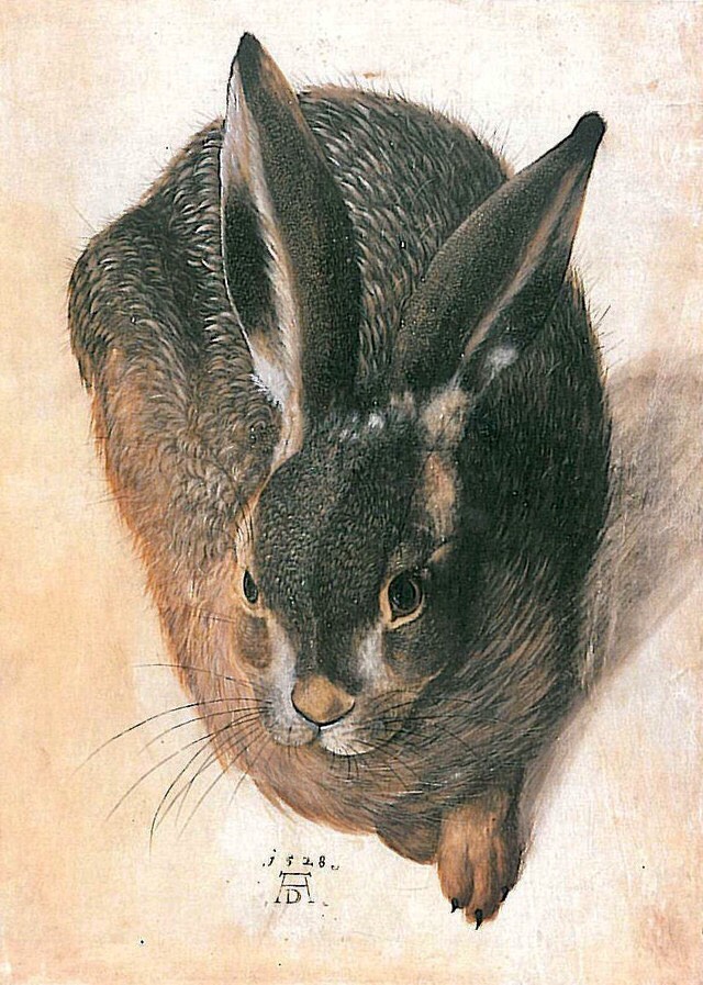 Grandes Obras: Rabbit by Albrecht Dürer