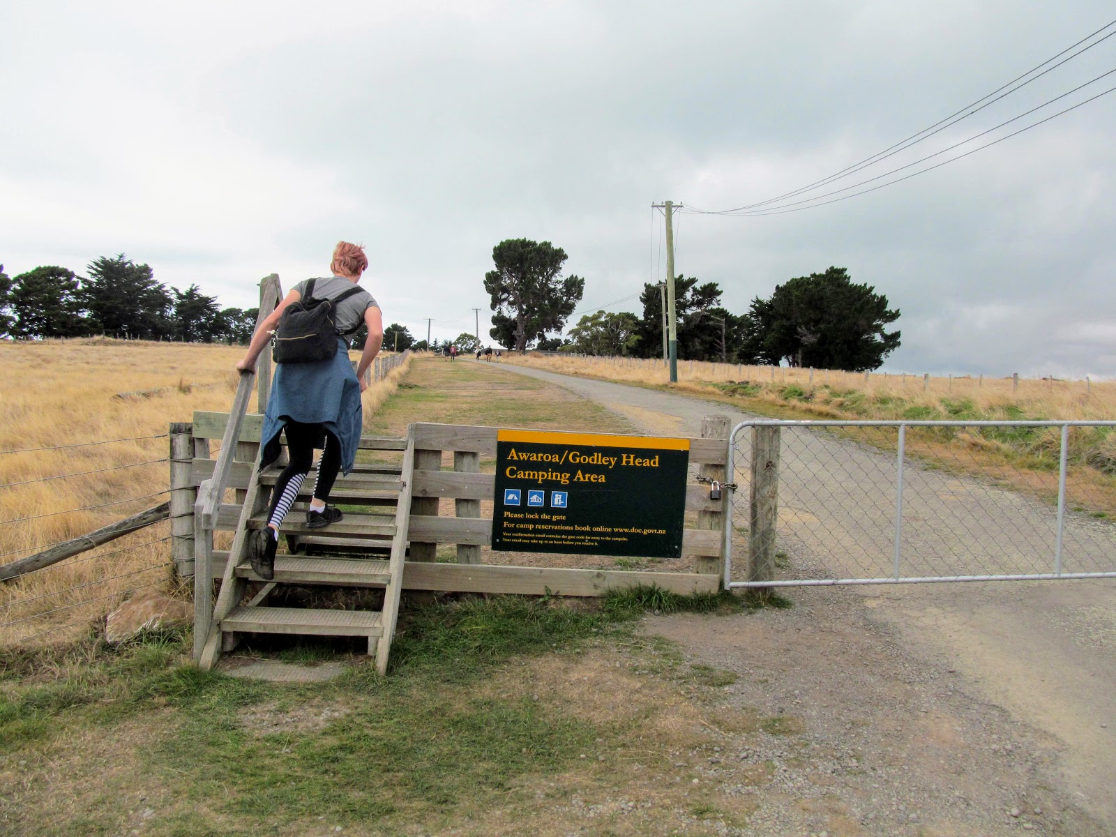 Tramping in the New Zealand backcountry: NZ Bush Adventures: Short Walk ...