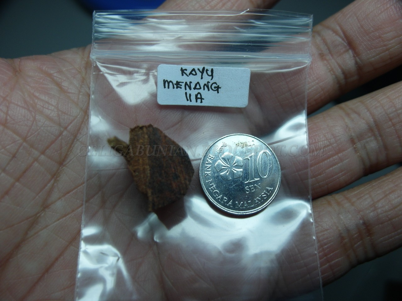 BLOG UTAMA Y.M PADUKA AYAHANDA PAY 8: KAYU MENANG