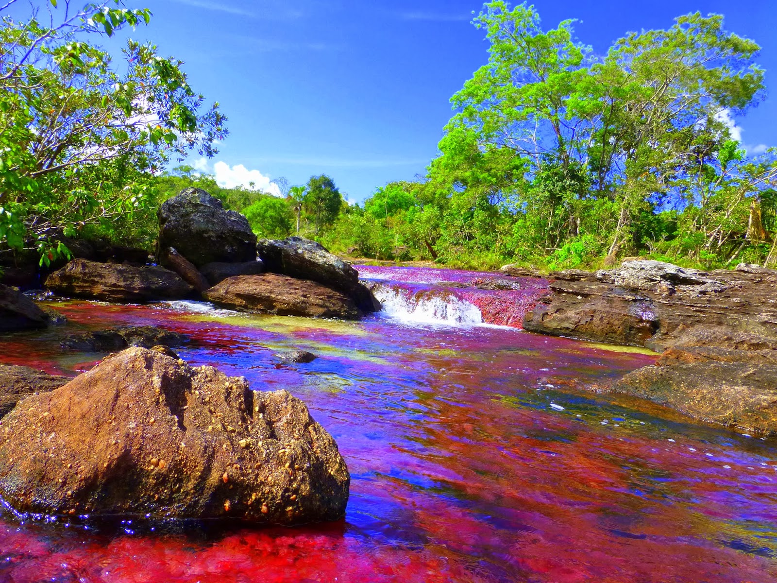 Most Mysterious Places On Earth - Caño Cristales River Meta,Colombia ...