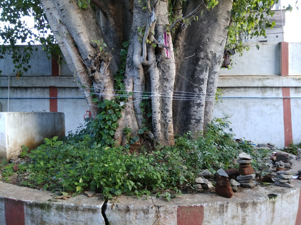 Tamilnadu Tourism: Tirusoolanathar Temple, Tirusulam – The Temple