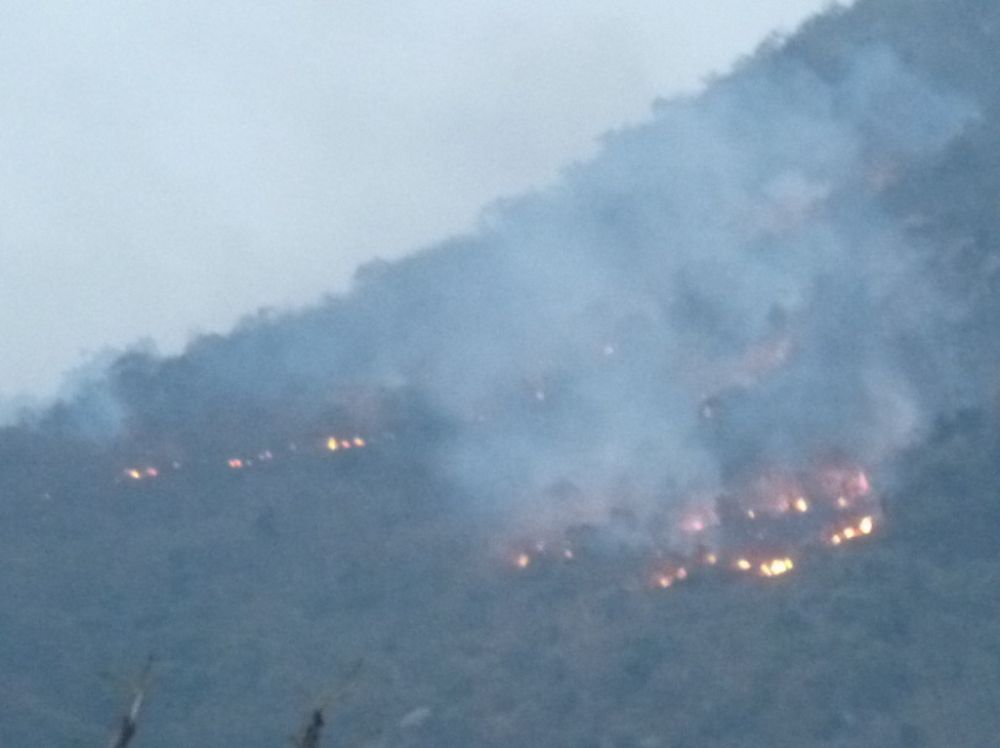 May 2012 - ARUNACHALA GRACE