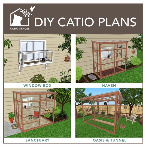 Cat and DOG Chat With Caren: Catio Spaces "Life is GOOD in a Catio!!"