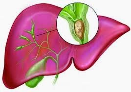 BETTY SALUD: LIMPIEZA HEPATICA BENEFICIOS