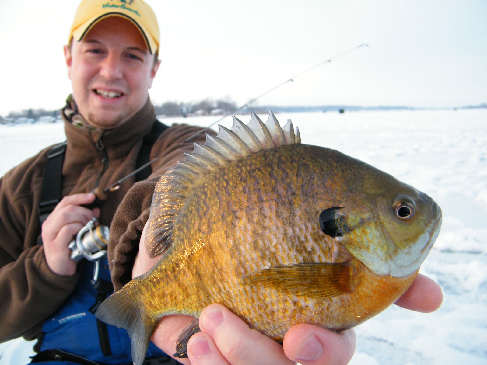 Slab Seeker Fishing: Bluegills Secrets Reveled