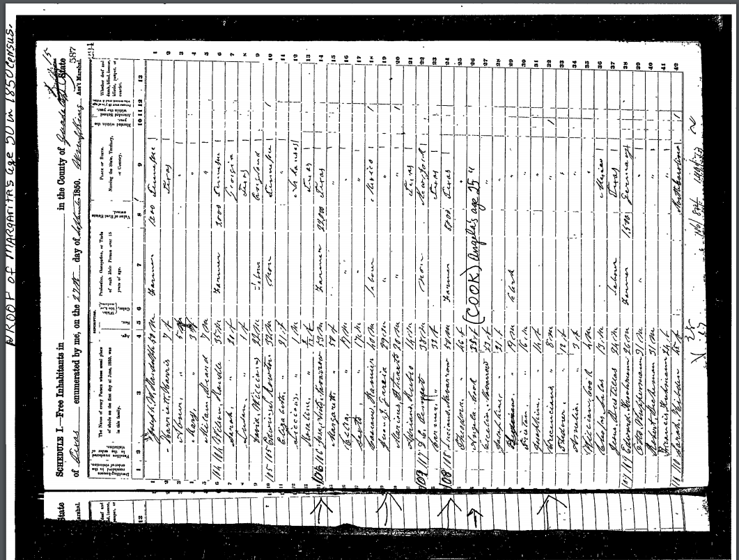 Navarro/Ruiz/family/history/genealogy : Documents