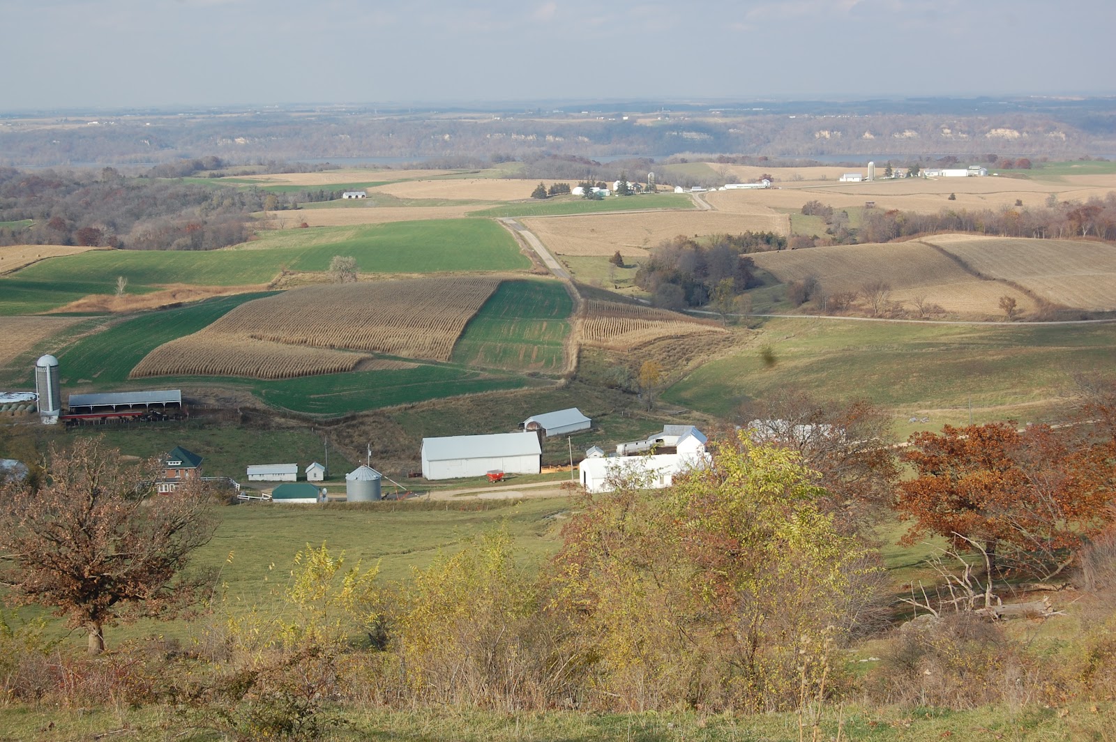 Birds & Nature: Our Annual Trip to Balltown, Iowa