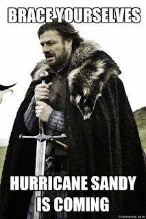 Post It Politics: Hurricane Sandy Hits the Internet