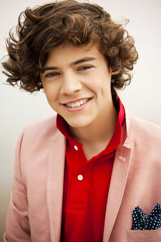Boysdirectioners BRASIL: One Direction - Up All Night