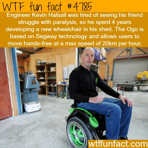 60 Amazing Random Facts | Amazing WTF Facts