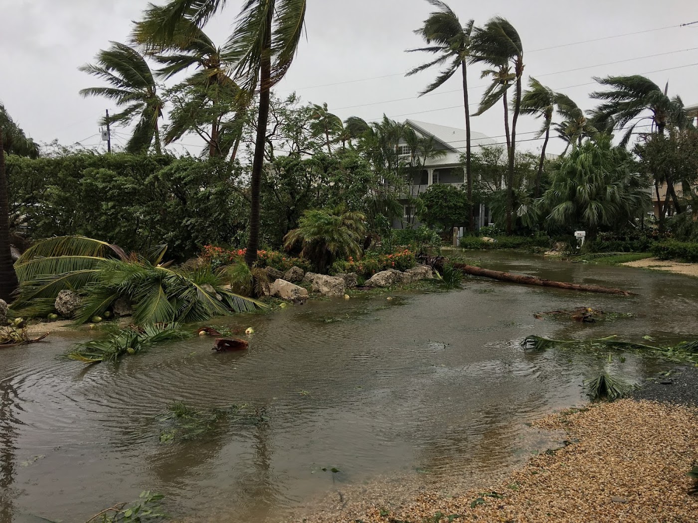 Cook's Island - A Step Back in Time in the Florida Keys