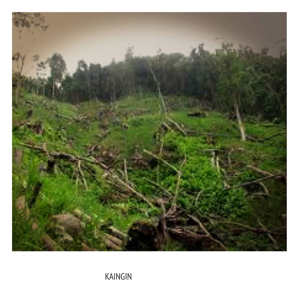 SOL ARTWORDS EXPRESSION"............: SWIDDEN OR KAINGIN........ALNIGO ...