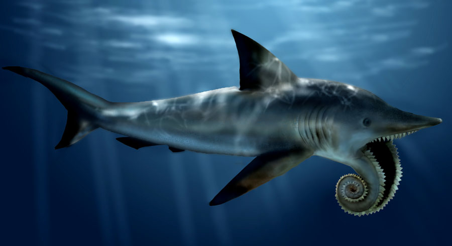 Le Cabinet de Curiosité(s): Monstrologie version préhistorique