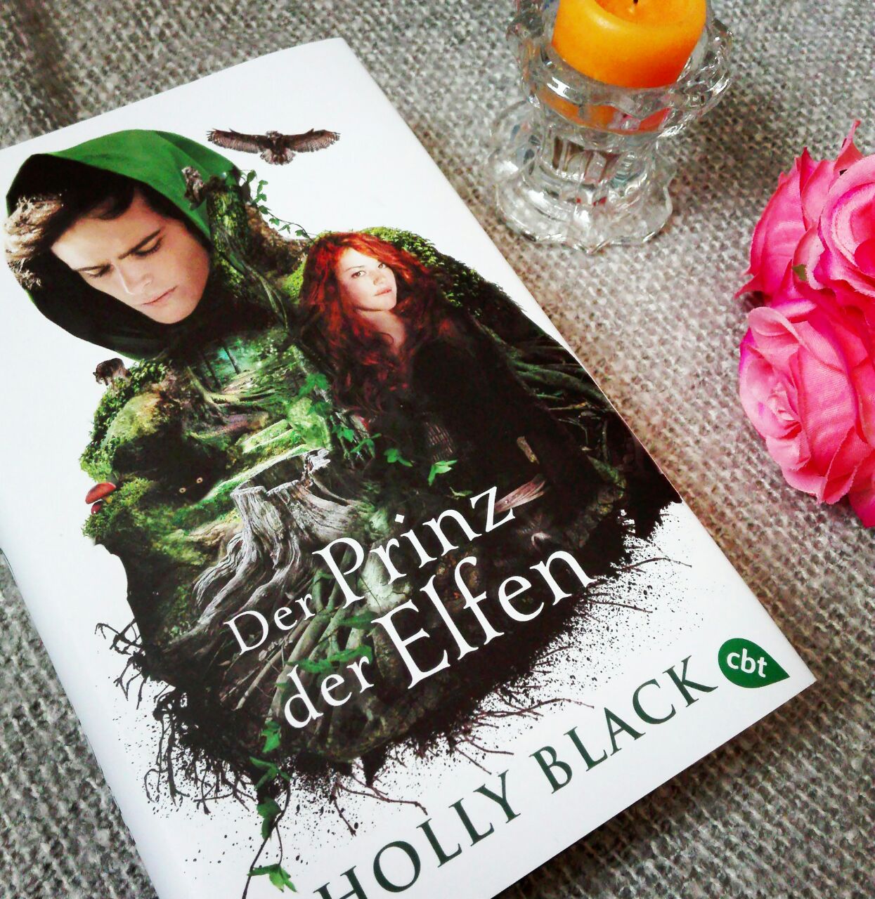 Emkeyseven Books: [Rezension] "Der Prinz der Elfen" von Holly Black