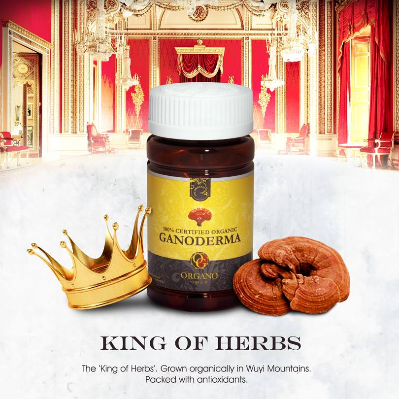 ORGANOGOLD: LE ROI DES HERBES