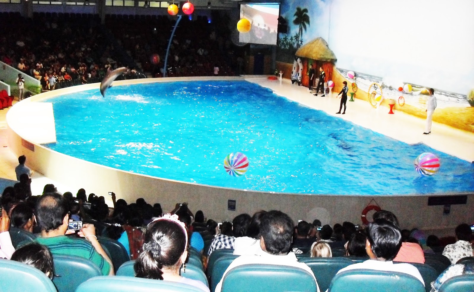 WorldTravelandTourism: Dubai Dolphinarium