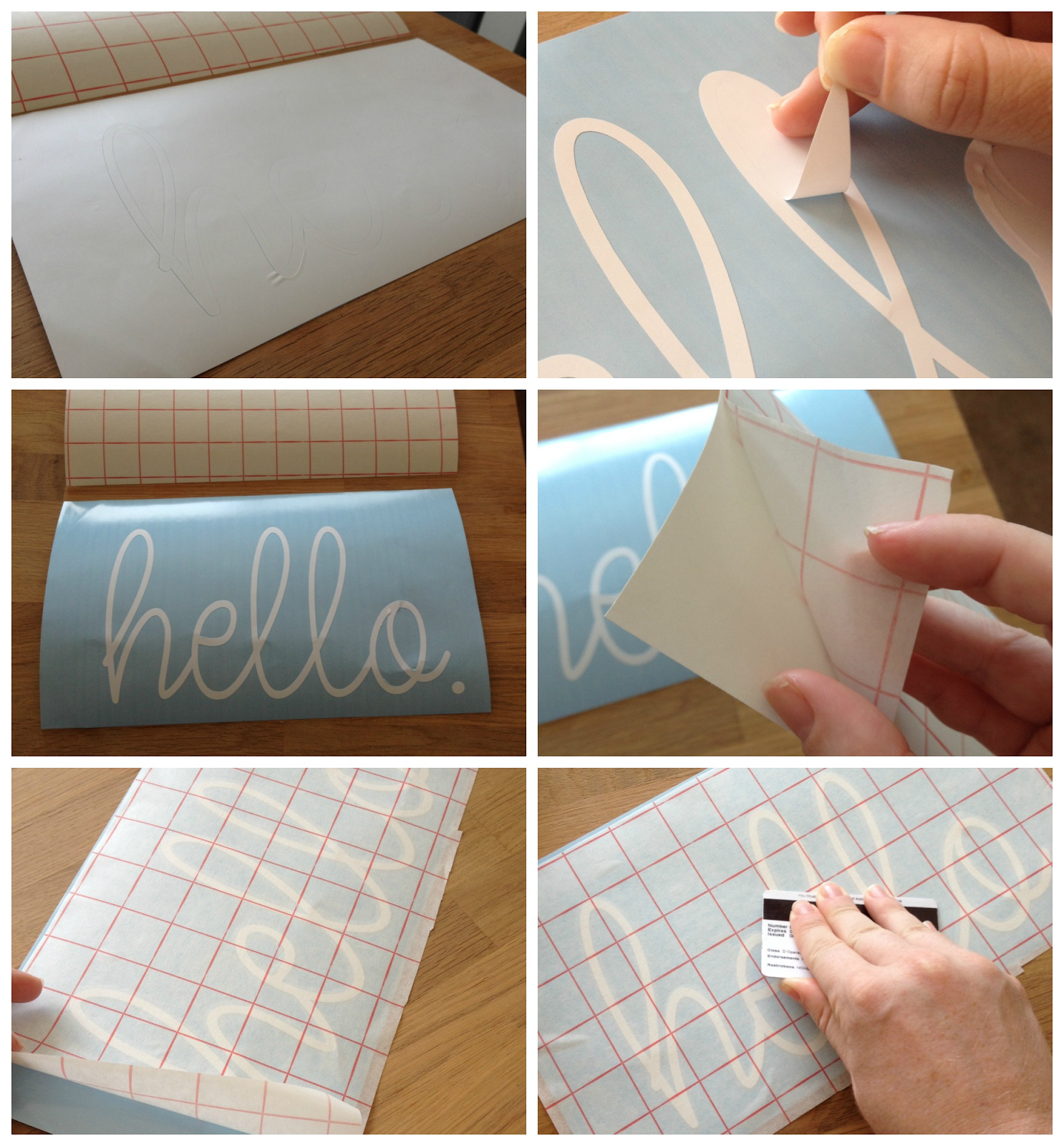 Popular with the Poplins: Say Hello to...