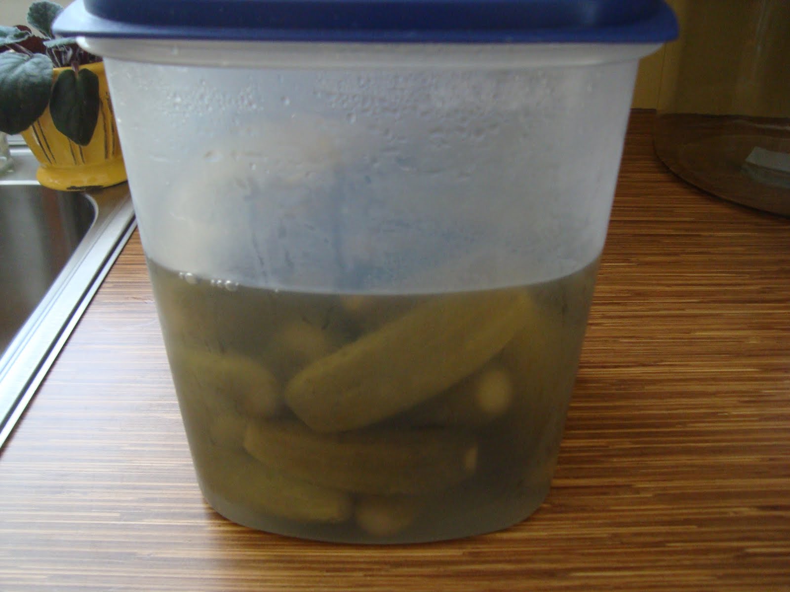 Headspace: In a (Fermented) Pickle