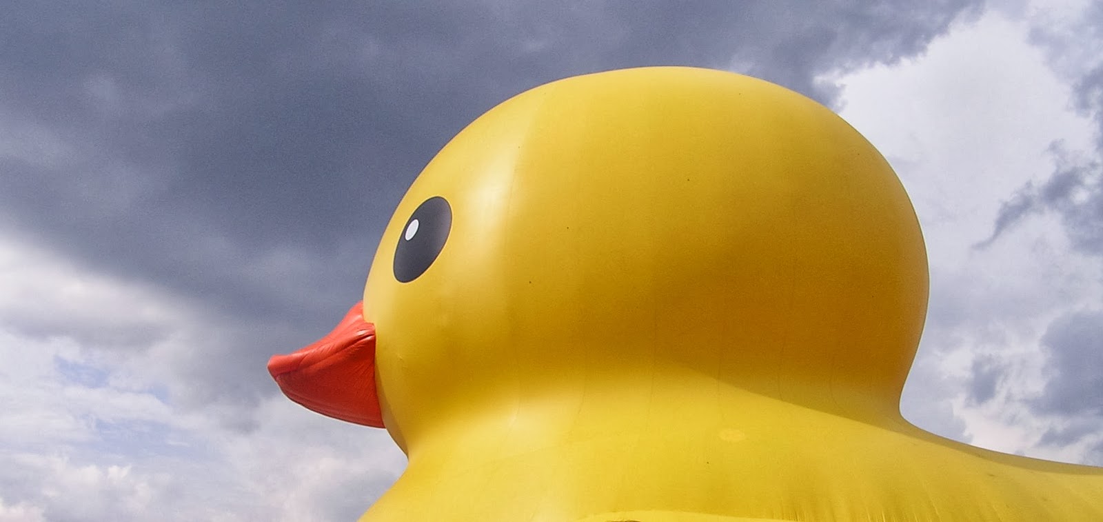 Deep Thoughts of a Common Household Mom: He's Our Pal