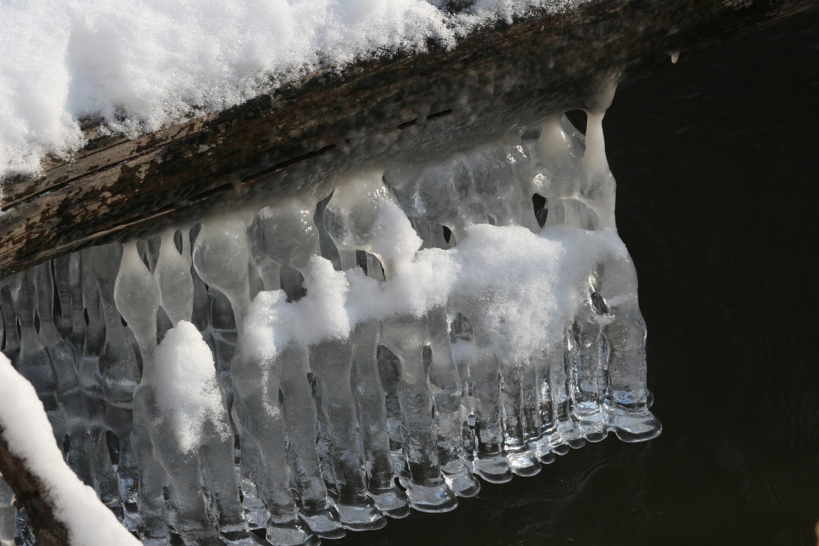 Isabella Conservation District Environmental Education Program: Photos ...