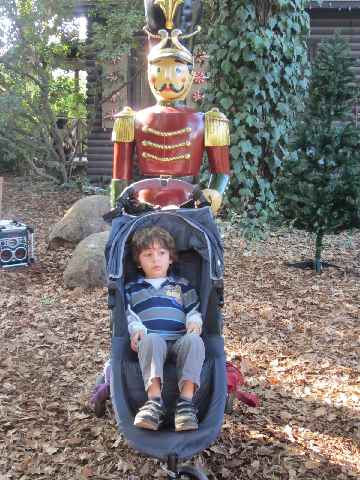 StrollerQueenReviews: Baby Jogger City Micro Review