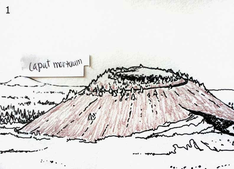 Nature Drawing and Journaling Trips : Step-by-step Watercolor Pencil ...