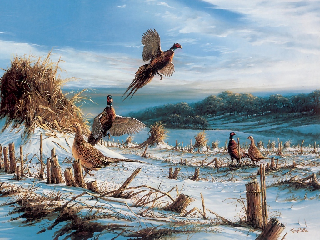 Terry Redlin Art ~ Desktop Wallpapers