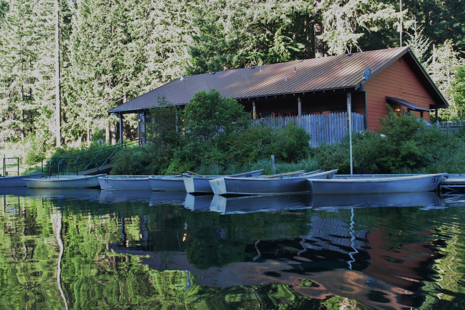 Ronald Borst Journalism: Fishing With Alexa