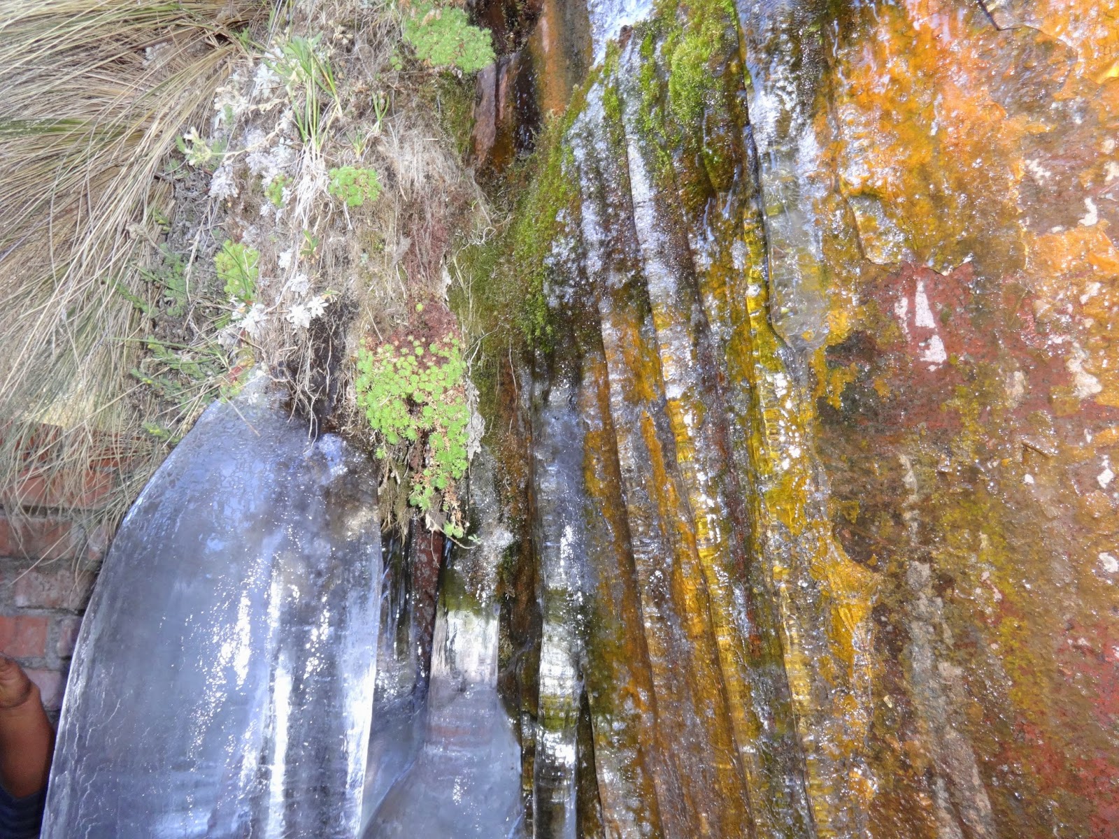 coracora parinacochas ayacucho: fiesta patronal de coracora virgen de ...