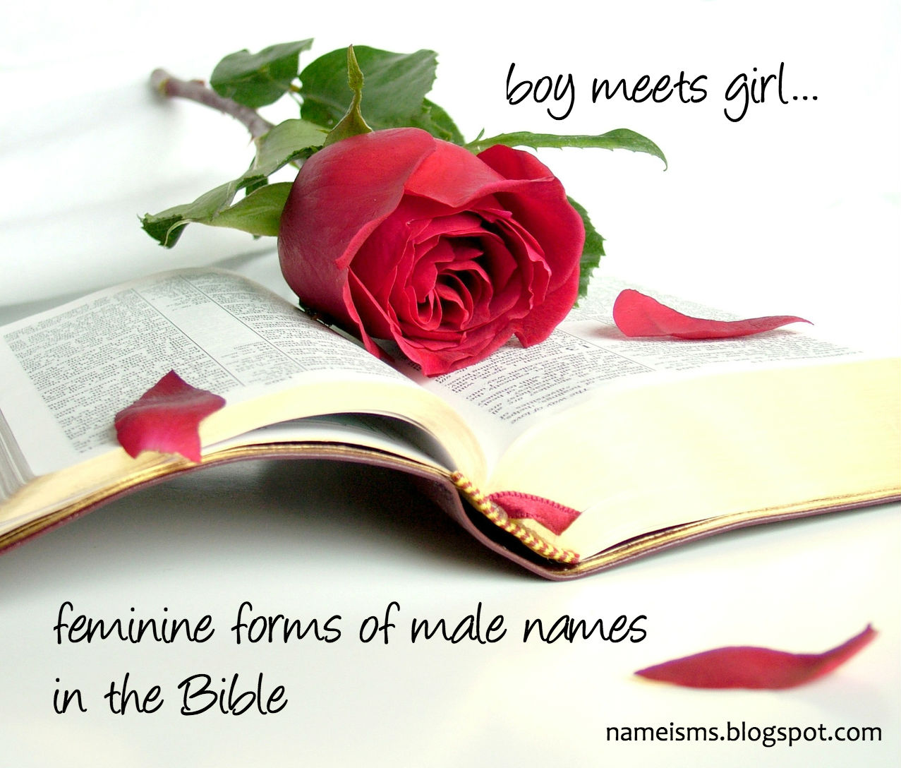 Nameisms Baby Name Blog Boy Meets Girl Feminine Forms Of Male Names In The Bible nameisms-baby-name-blog-boy-meets-girl-feminine-forms-of-male-names-in-the-bible