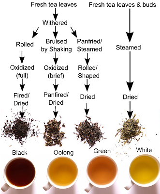 Self Health Guide: The Healthiest Tea