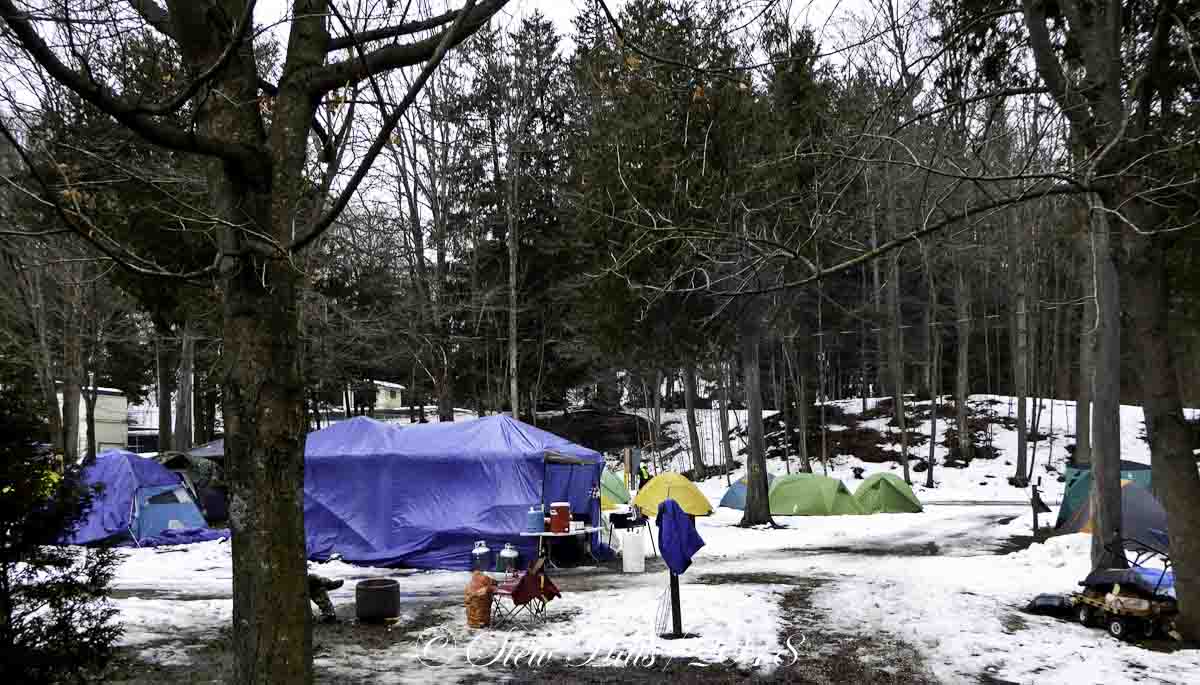 Seasons in the Valley + Furry Gnome's Adventures: Winter Scout Camp