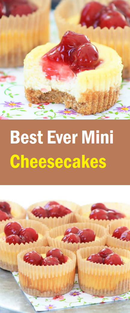 Best Ever Mini Cheesecakes With graham cracker Crumbs, Cream Cheese ...