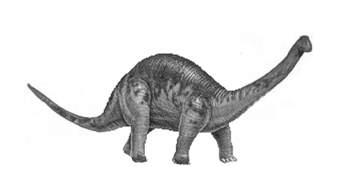 Los animales en la prehistoria: Animales prehistóricos con la letra C