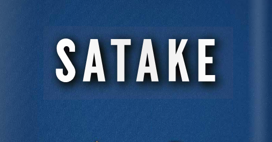 The Global Miller: Satake company profile