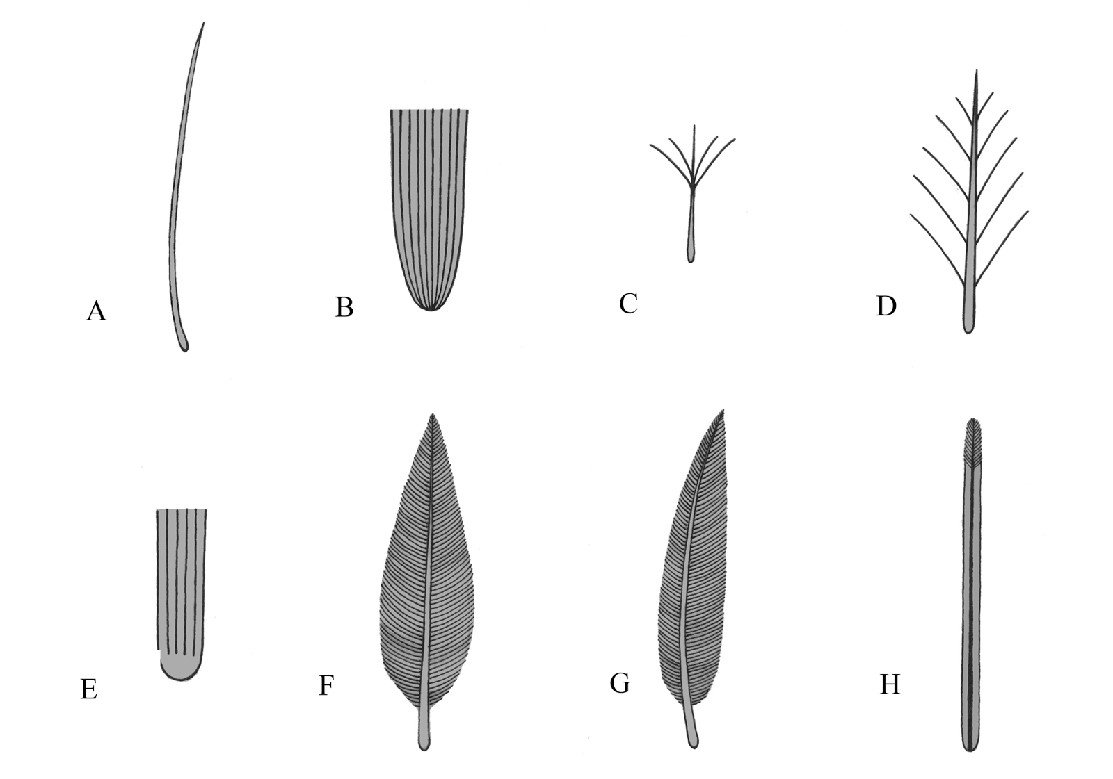 pan-Aves: 2012