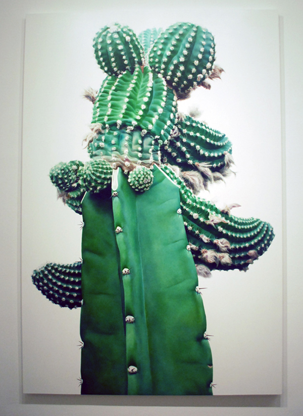 Qatar Sprouts A Towering Cactus Skyscraper ~ World Information