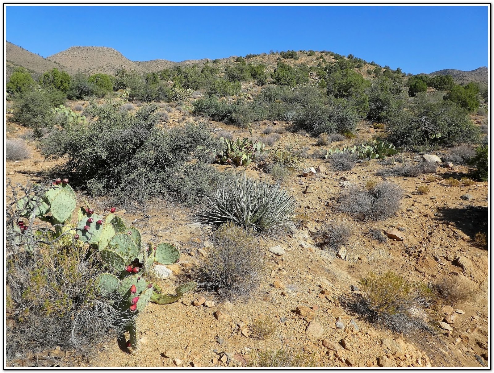 Ken's Photo Gallery: Big Wash Road in the Cerbat Mountains