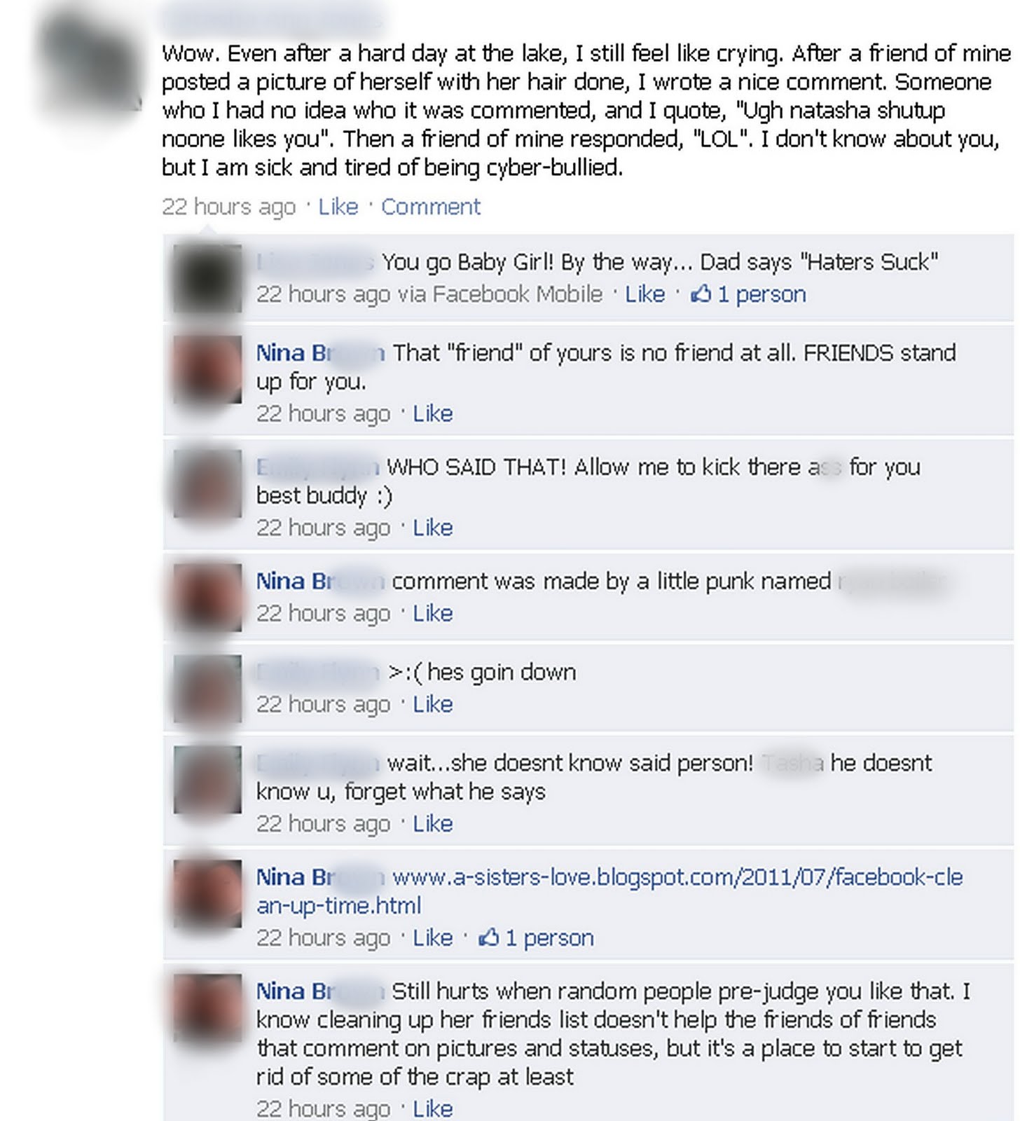 A Sister's Love: An Inside Look at Bullying: Bullies don't take a ...