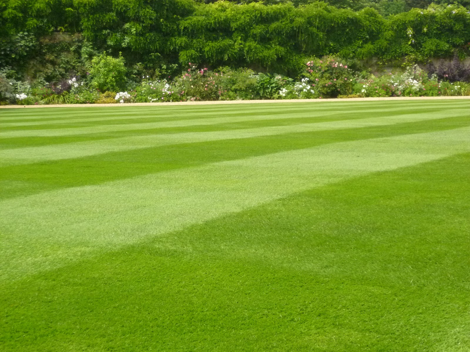Worcester College Gardeners 2009-2018: Views Of The Quad Lawn From The ...