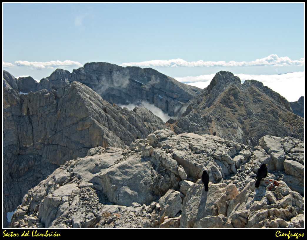 Caleyando con Cienfuegos: Neverón de Urriellu y Torre de la Párdida
