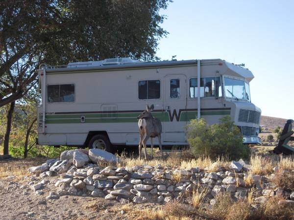 Vintage Classic Winnebagos Rvs