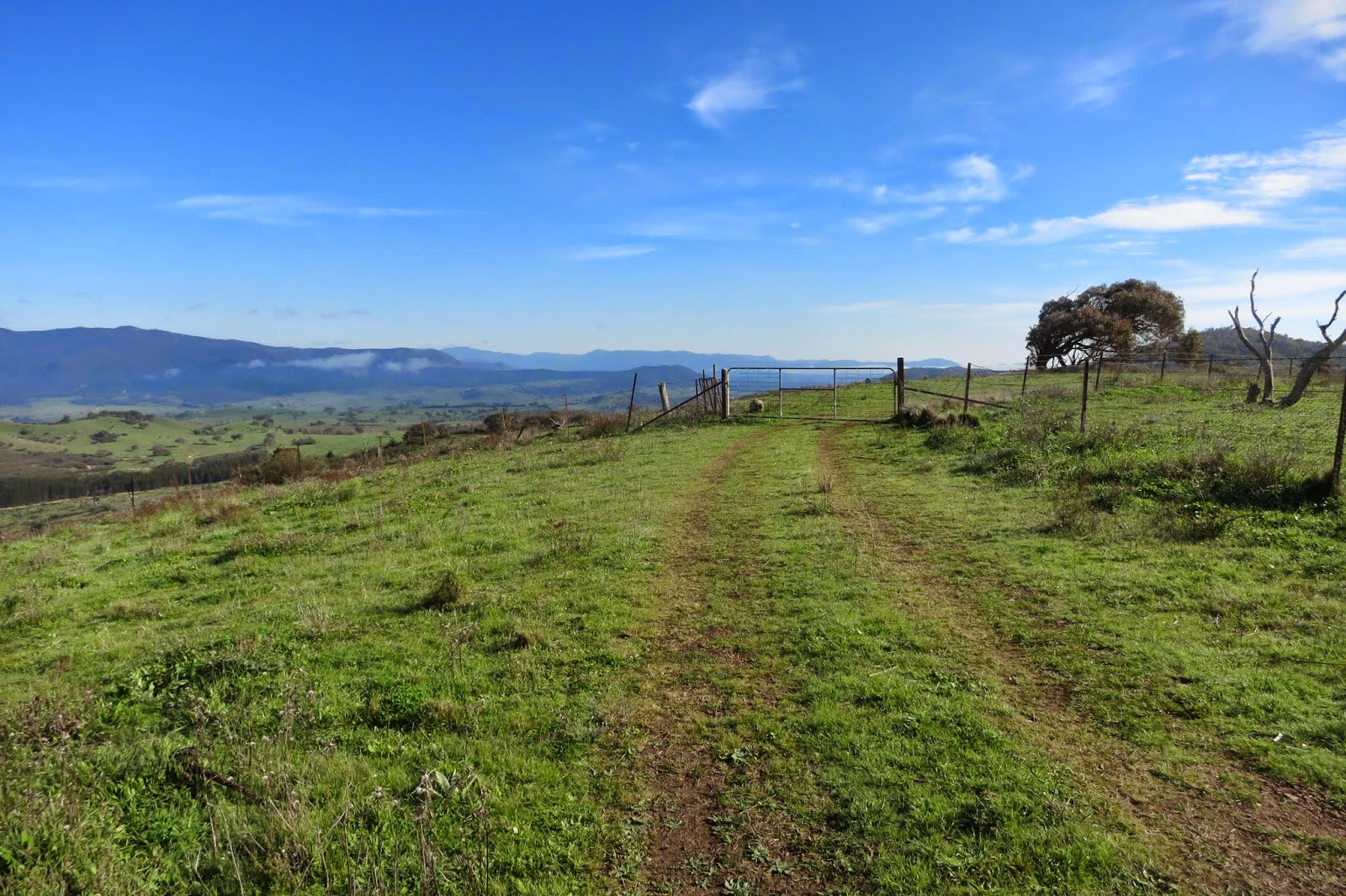 VK1DI's Blog: SOTA activation Bullen Range