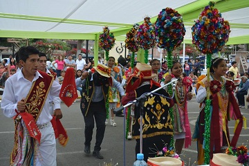 LA FIESTA DE LAS PALLAS