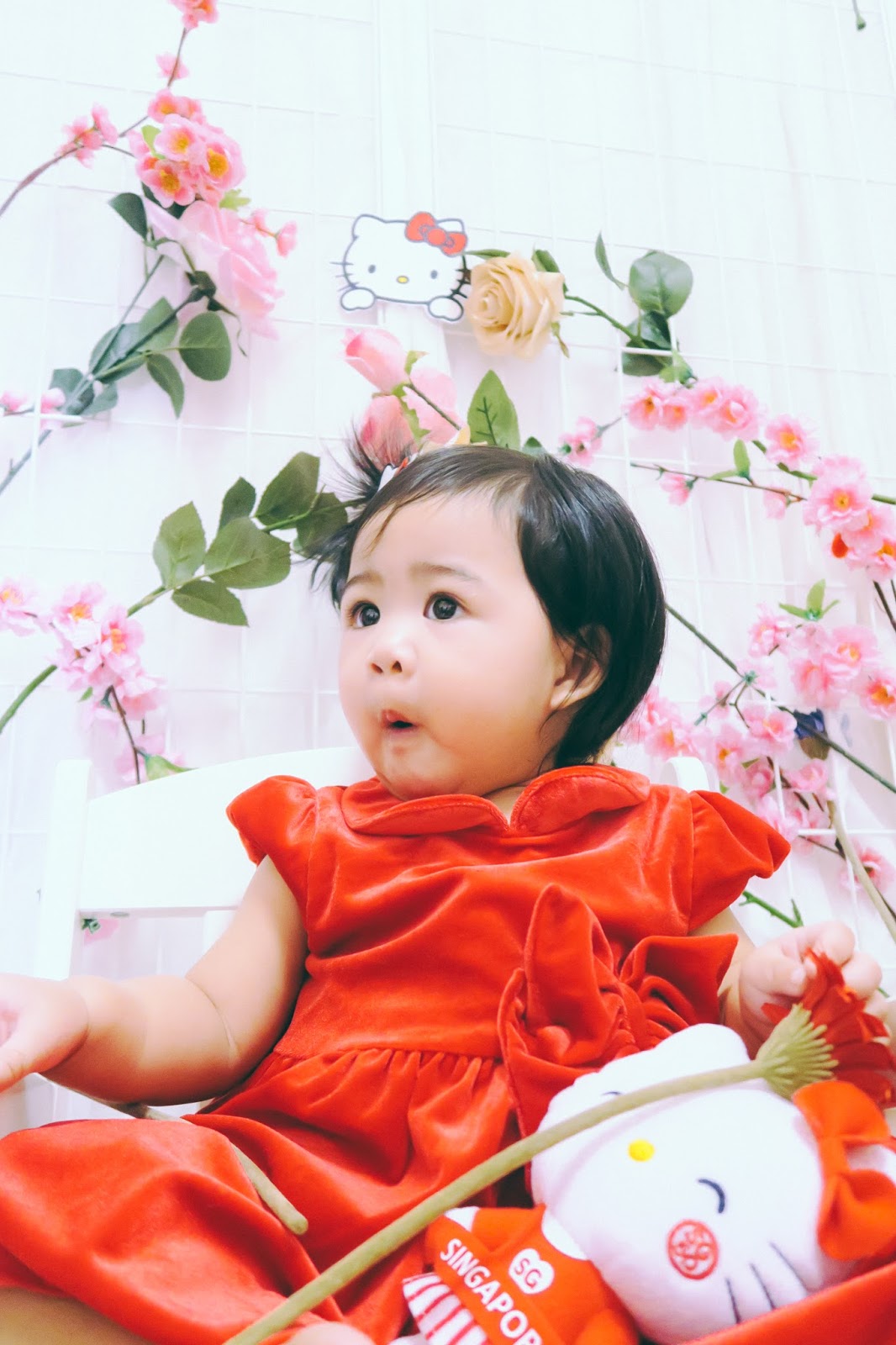 Pre-1st Birthday Photo Shoot: Hello Kitty's Secret Garden | A ...