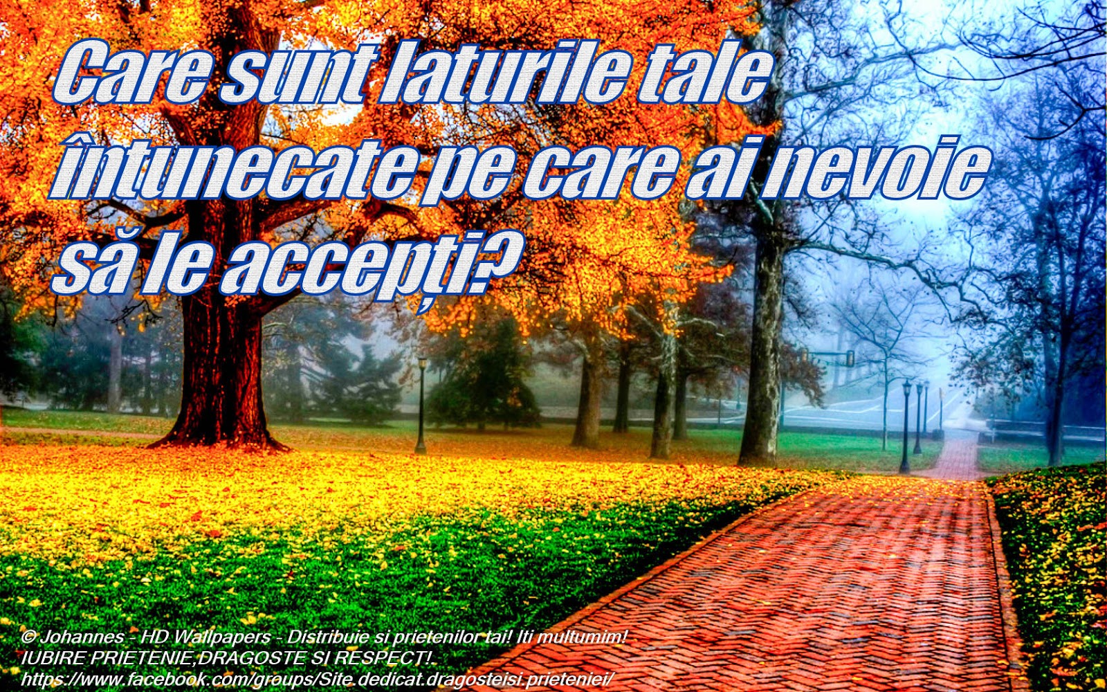 IUBIRE PRIETENIE,DRAGOSTE SI RESPECT!.: Descarca poze gratis pentru ...